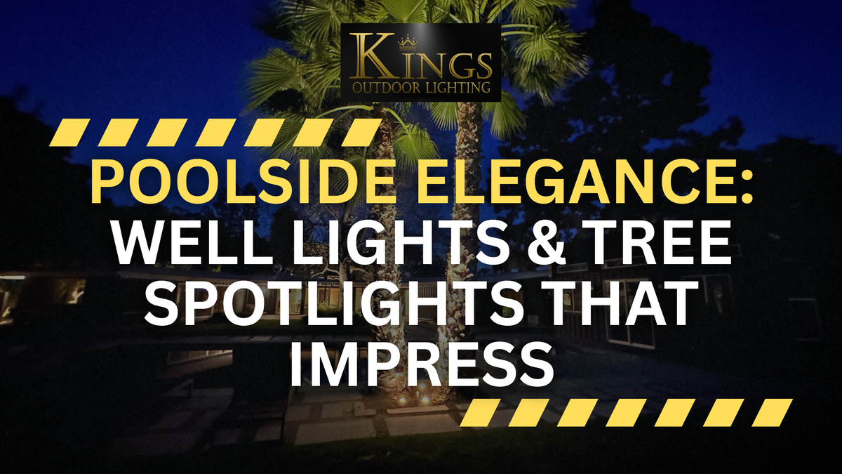 Elevate Your Landscape with UNF08 Well Lights & CD20 Tree Spotlight fo